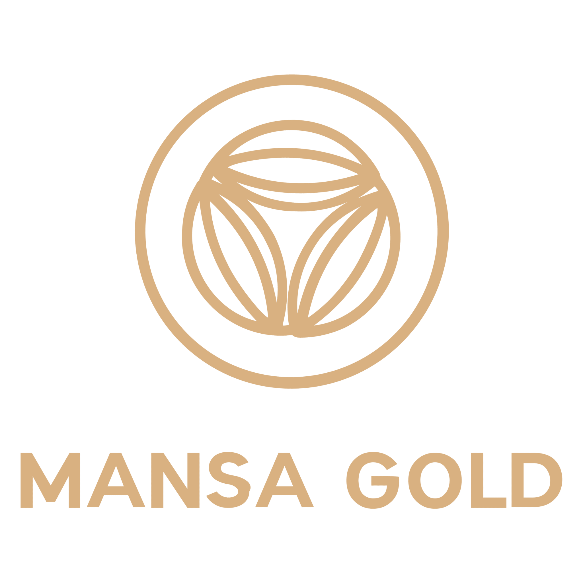 Chocolate Factory Tour | Gold Coast XP