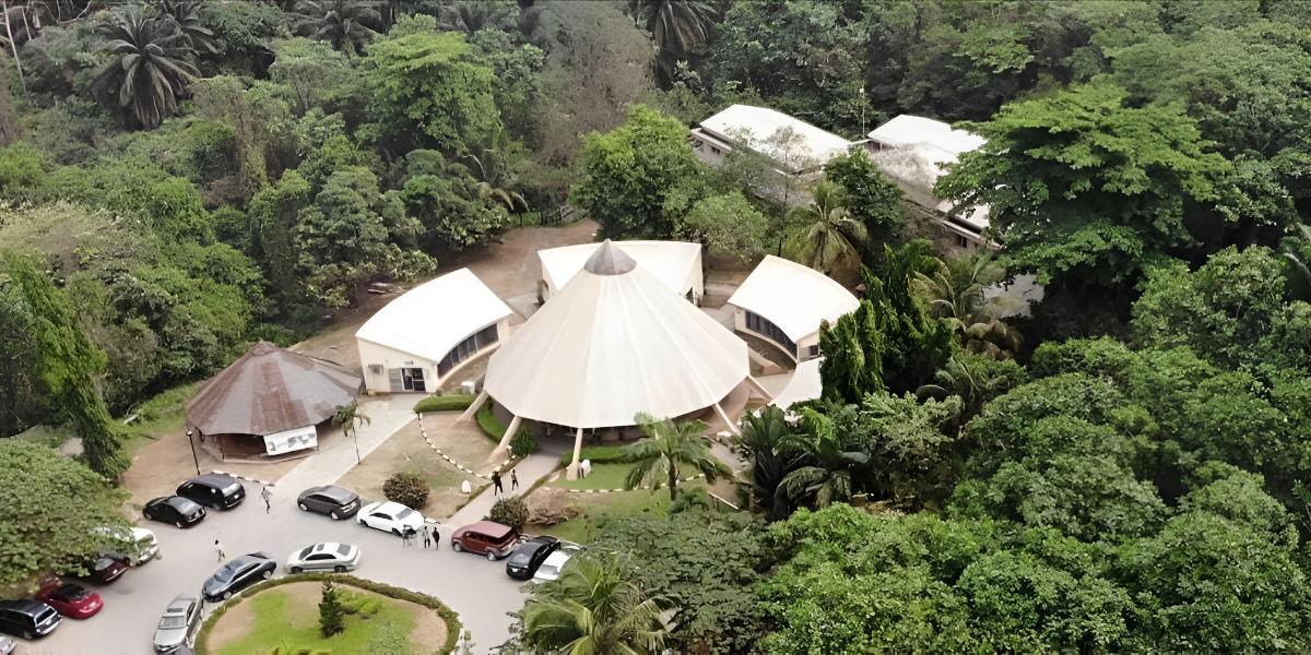 Why You Need To Visit The Lekki Conservation Center