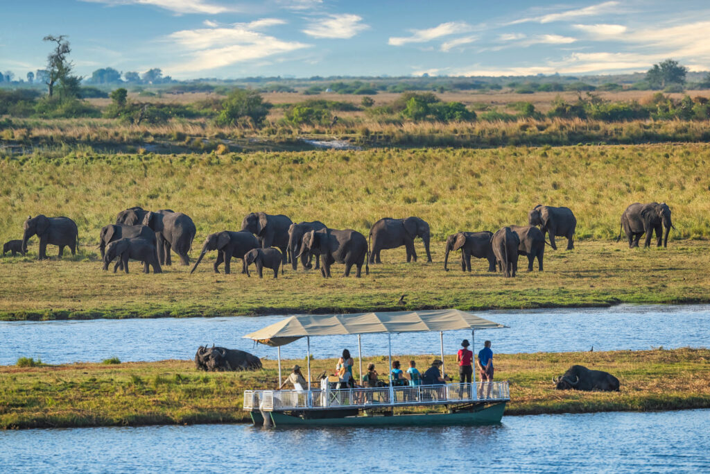 Your Guide To The Best Botswana Adventure